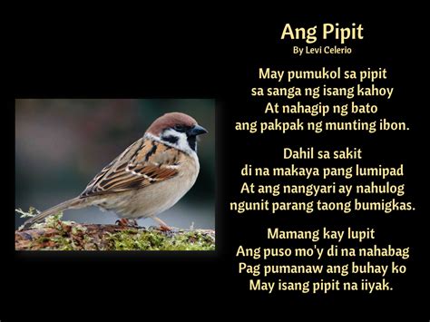 May Isang Pipit Na Iiyak Song Ngisingsang