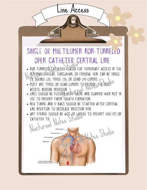 Types Of Line Access Nursing Babe Nursing Template Nursing Notes Nursing Fundamentals