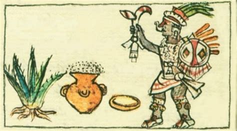 Pulque Drink Of The Gods Mexico Unexplained