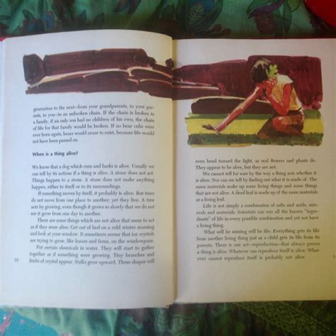 Life Cycle Library For Babe People Volumes Sex Education Etsy