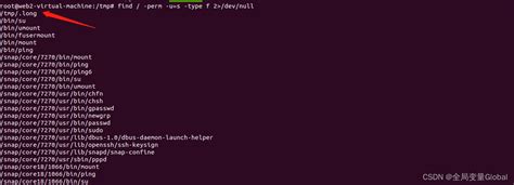 linux权限维持之suid后门、ssh后门 ssh后面 csdn博客