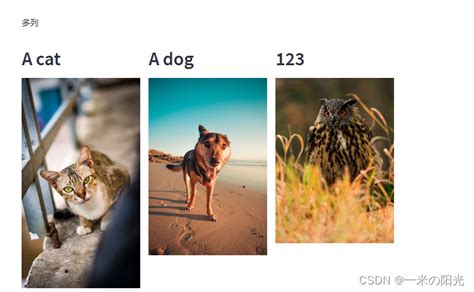 Streamlit （python构建web可视化框架）笔记python Streamlit Csdn博客