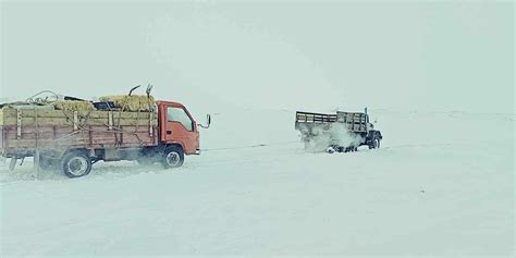 Өвөлжилт хүндэрсэн сумдад цэргийнхэн ажиллаж байна