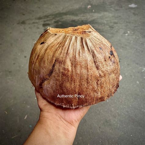 Bunot Panlampaso Coconut Husk Floor Polisher Kintab Na Walang