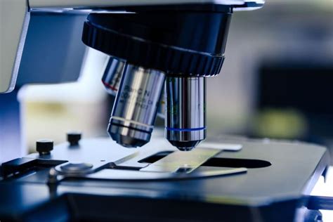 Histopathology Elite Labs