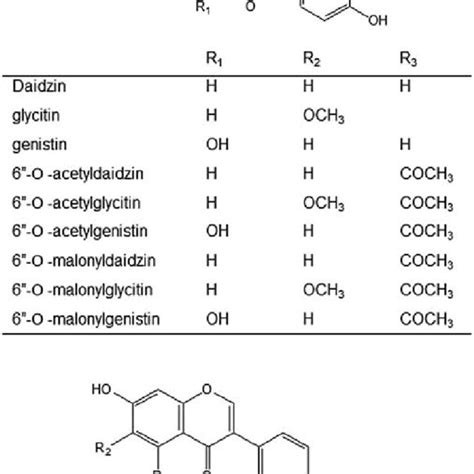 Chemical Structures Of S Equol Genistein And Daidzein Download