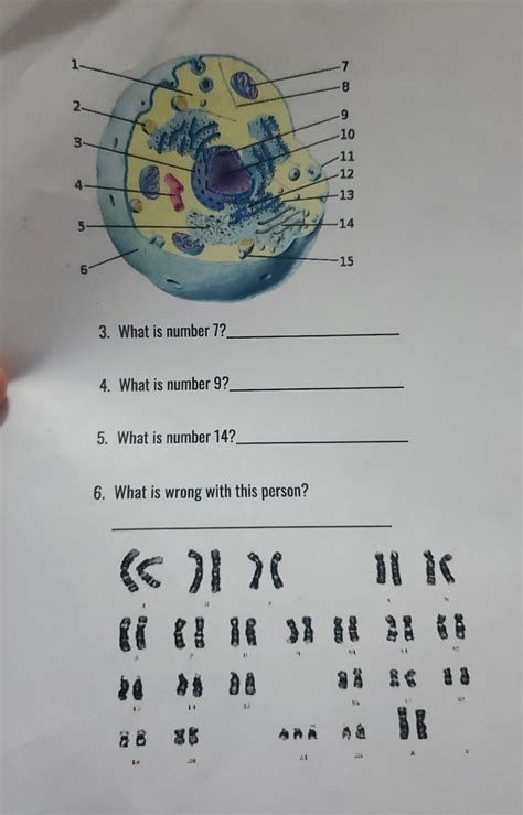 Solved What Is Number What Is Number What Chegg Com