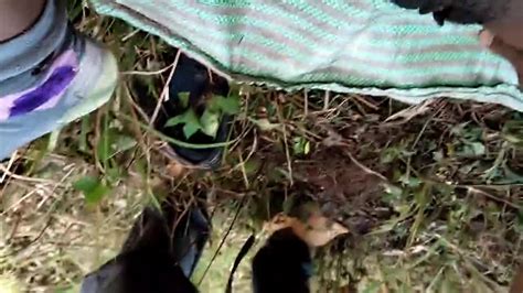 Nepali Jungle Hook Up With Filthy Converse