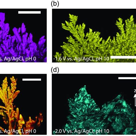 Nanometer‐scale Computed Tomography Imaging Nanoct Reconstructions Of Download Scientific