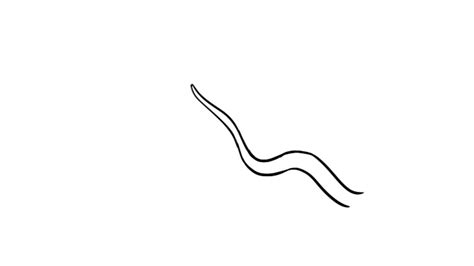 树枝简笔画 天奇生活