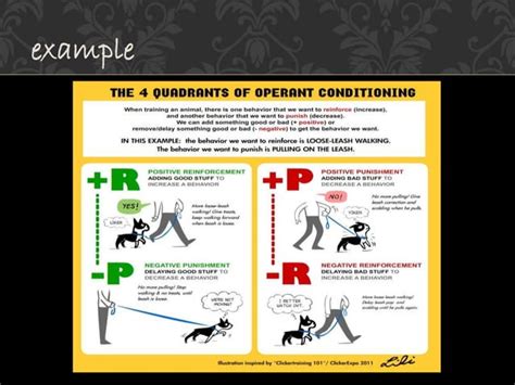 Reinforcement Motivation Theory Pptx
