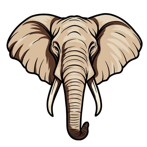 Elephant Face Sketch