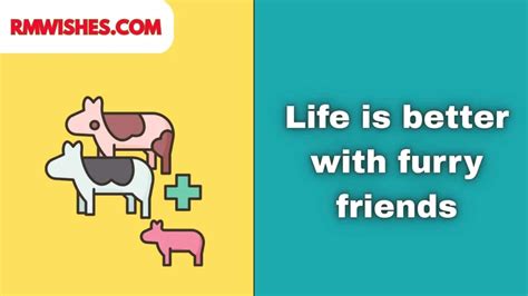 251 Breeding Captions To Make Your Posts Pop