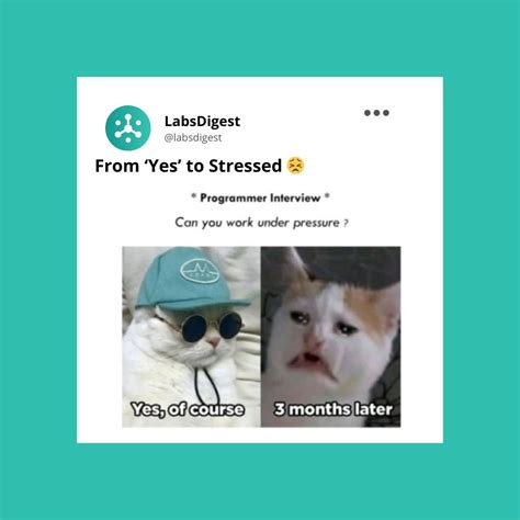 Labsdigest Comptia Cisco Python Performance Based Questions And More