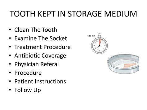 Guidelines For The Management Of Traumatic Dental Injuriesiiavulsion