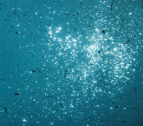 Premium Photo Underwater Bubbles