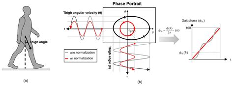 Sensors Free Full Text Walking Speed Adaptive Gait Phase Estimation For Wearable Robots