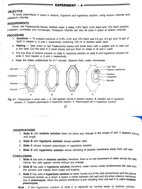 Plasmolysis Experiment Pdf Osmosis Cell Biology