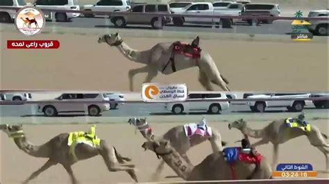 الشوط 2 رمز قعدان رئيسي مهرجان الوسطي ظبيان لـ احمد خلفان موسى الهاملي 72922 Youtube