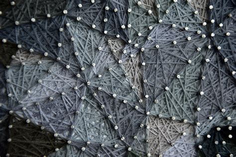 DIY String Art Template Digital String Art Raccoon Etsy