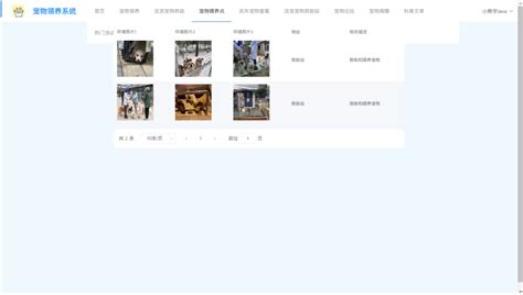 毕设项目推荐基于Spring Boot Vue的宠物领养系统 腾讯云开发者社区 腾讯云