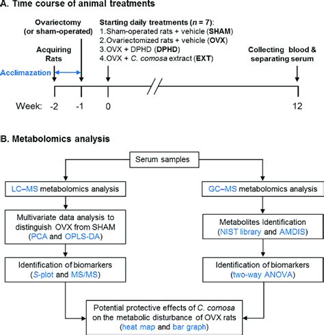 Schematic Diagram Of A Experimental Procedures And B Metabolomics