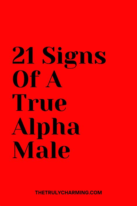 Best Deceptive Alpha Male Traits How To Spot Fakes Artofit