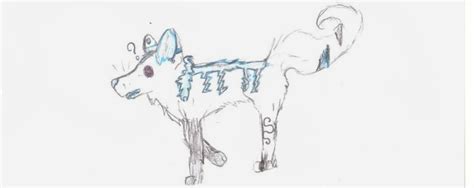 Cassi By Wolfeh3412 On Deviantart