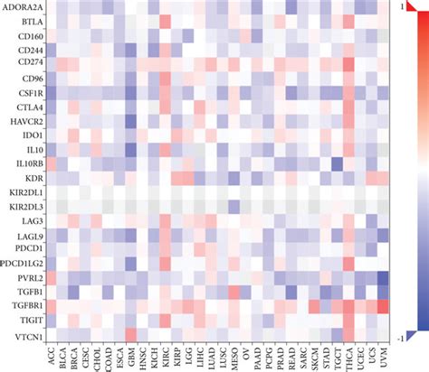 Ac Correlation Between Plk4 With Immune Infiltration In Ccrcc A Download Scientific