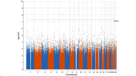 Manhattan Plot Representing The Log 10 P Values For An Association