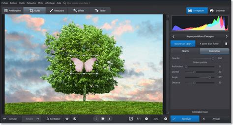 Comment Superposer 2 Photos 7 Bonnes Méthodes En 2023