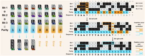 Information Theory Based Sequencing Error Correction Left Based On