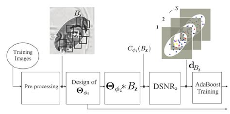 training procedure of the fiducial points detection system download