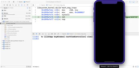 advanced apple debugging and reverse engineering chapter 10 regex