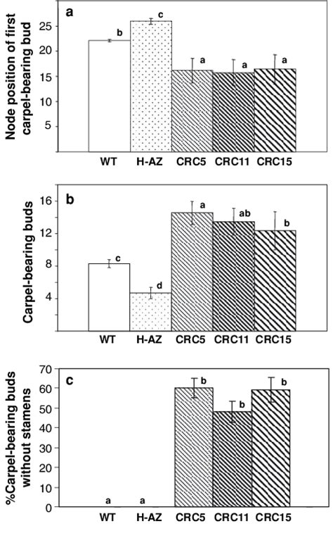 Sex Expression Patterns Along The Main Stem Of CRC Etr T Melon Download Scientific