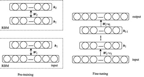 The Structure Of The Dbn Download Scientific Diagram