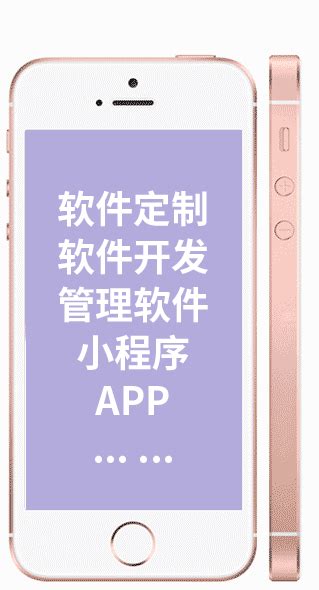 北京软件开发公司 软件开发 外包 定制 手机app制作