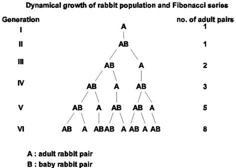 Fibonacci Rabbit Sequence Example Sequence Examples