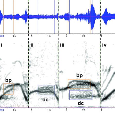 Spectrogram And Waveform Depicting Nonlinear Phenomena In Long Call Pulses Download Scientific