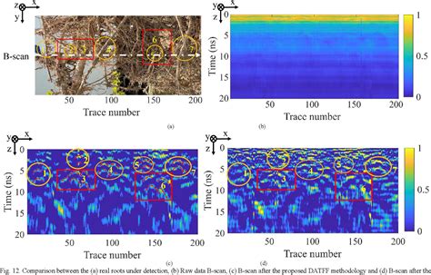 A Depth Adaptive Filtering Method For Effective Gpr Tree Roots