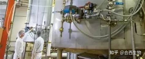 益生菌粉生产加工全过程图文解析 一 科普 知乎