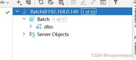 Idea连接sqlserver数据库报错：驱动程序无法使用安全套接字层（ssl）加密建立到sqlidea Mssql Ssl 报安全错误