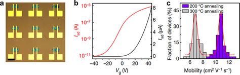Fet Application Of Electrochemically Exfoliated 2h Mos 2 Nanosheets Download Scientific