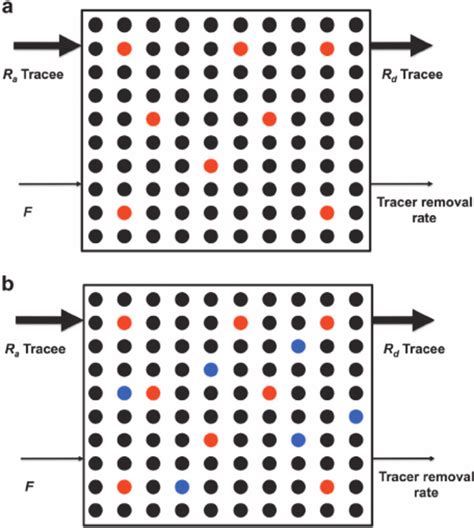 Conceptual Schematic Diagrams Of Isotopic Enrichment The Systemic