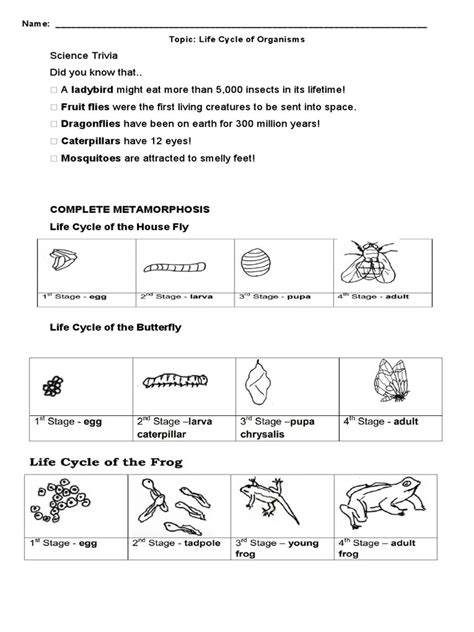 Science Module 1 Pdf Pupa Insects