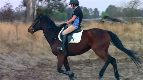 Girls Riding Horses Bareback Youtube