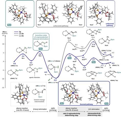 Dft Investigation Of The Free Energy Surfaces For The Reaction Pathways Download Scientific