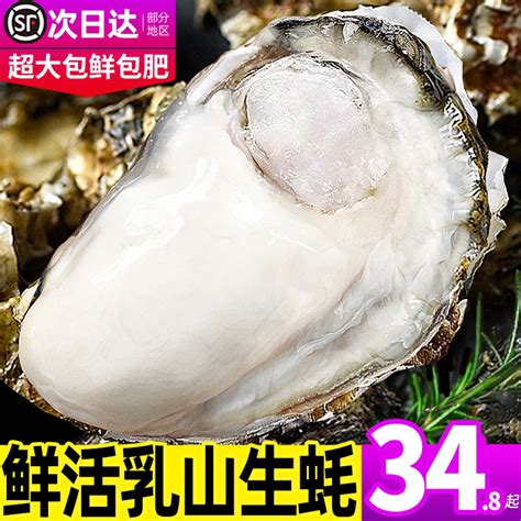 特大乳山生蚝鲜活10新鲜海蛎子5斤带箱海鲜超大牡蛎贝壳即食水产 虎窝淘