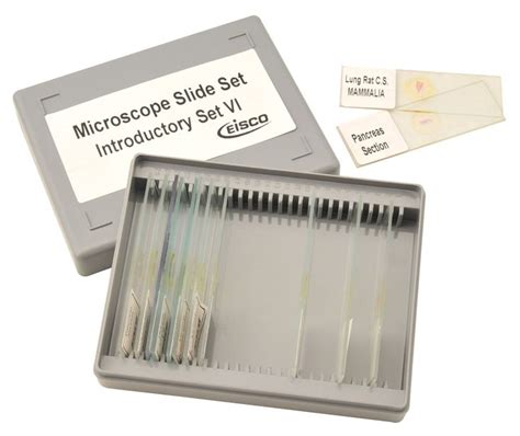 Microscope Slide Set Introductory Set No Vi Set Of 15 Microscope