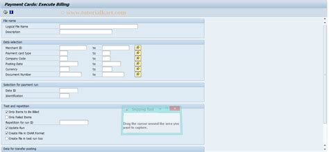 FPPCDS SAP Tcode PCARD Perform Invoicing
